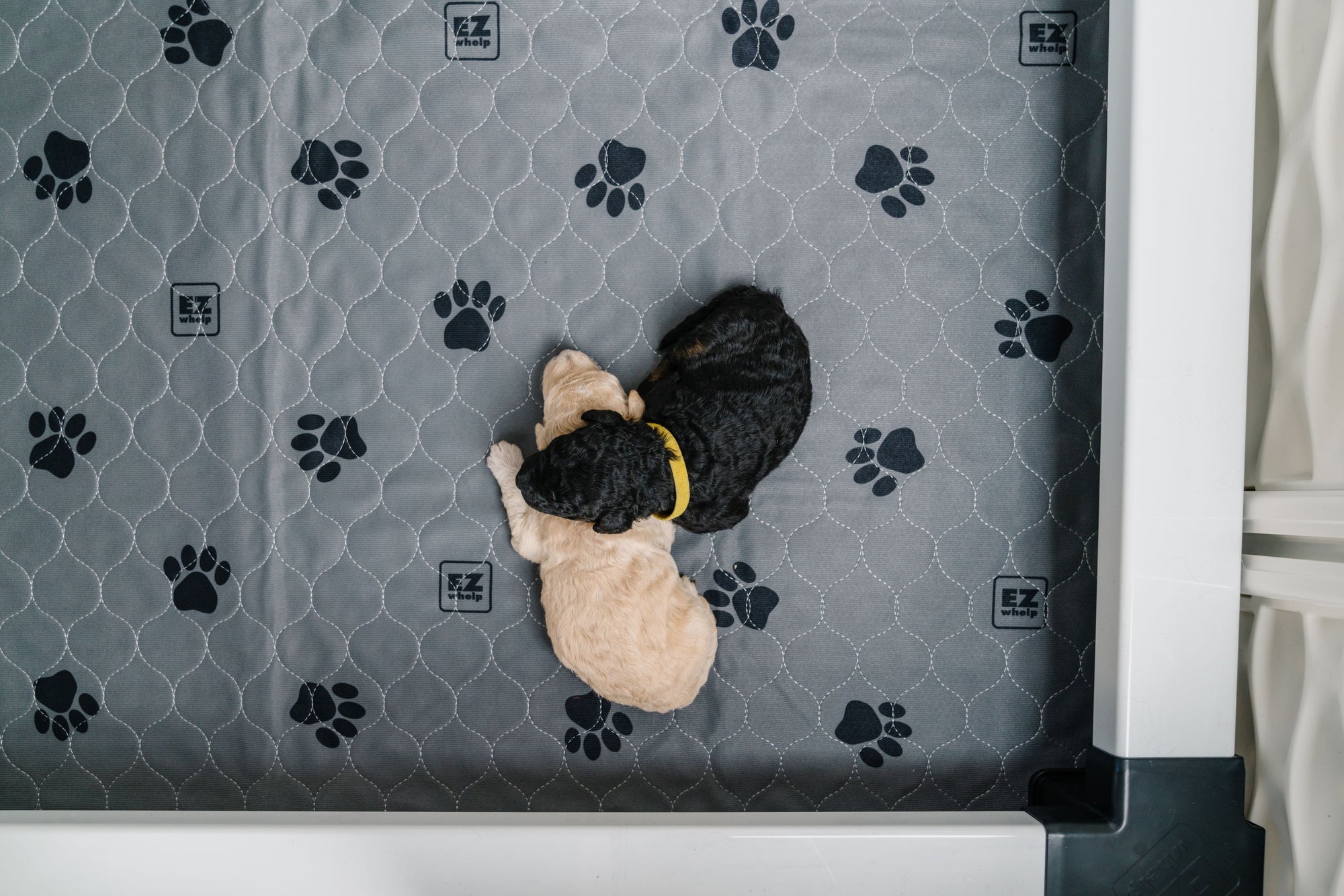 EZwhelp Reusable Pads | Quick-Dry Whelping Pads