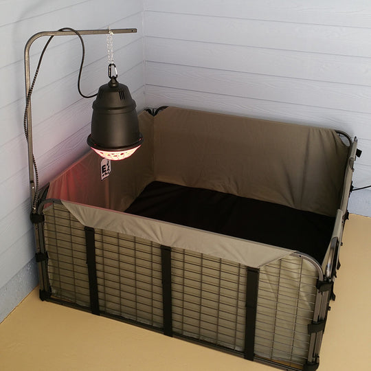 Heat Lamps for Puppies | Dog Warming Pads & Tools – EZwhelp